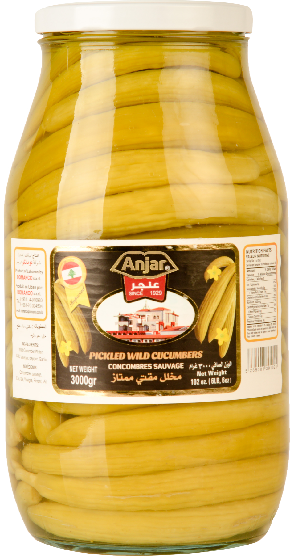 Lebanese Food Products: Explore Culinary Art | Domanco